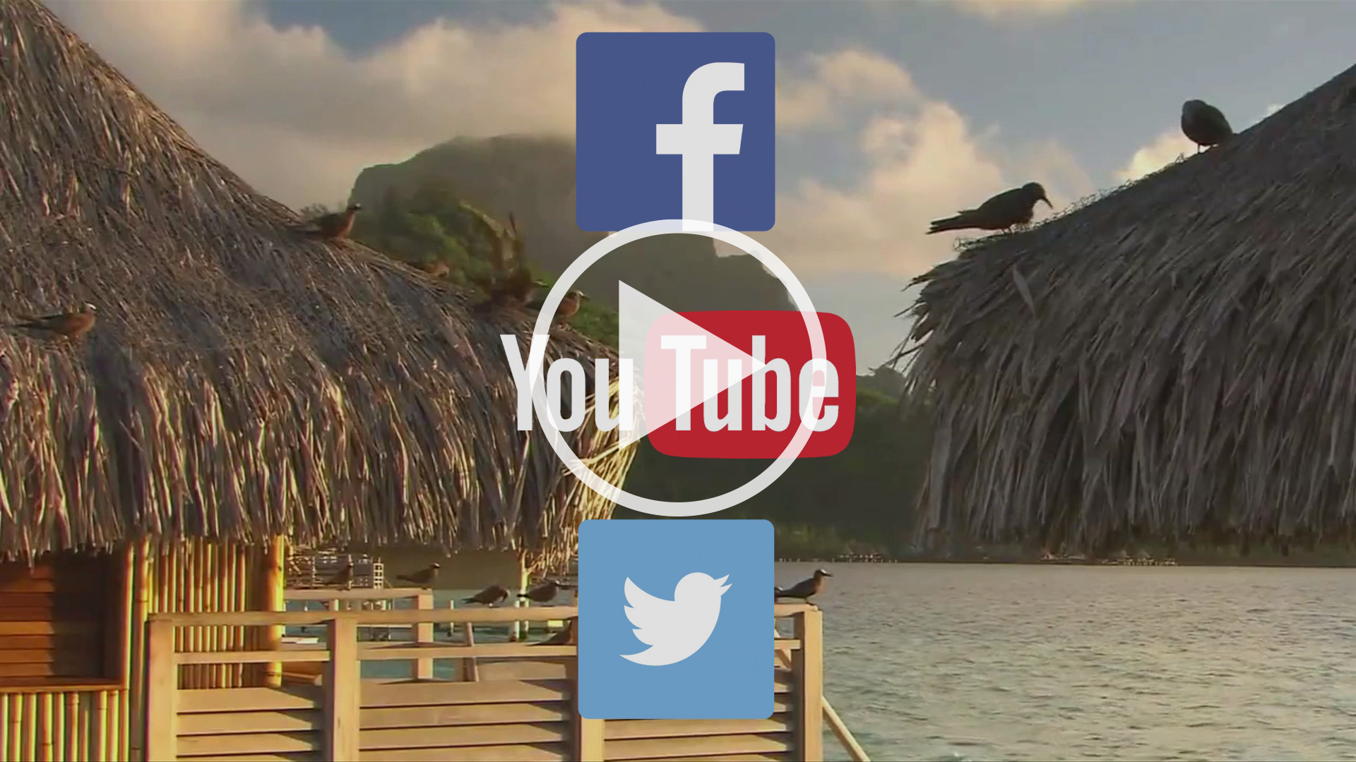 EarthCam | Tourism Webcams for Entertainment, Hotel & Resort Marketing